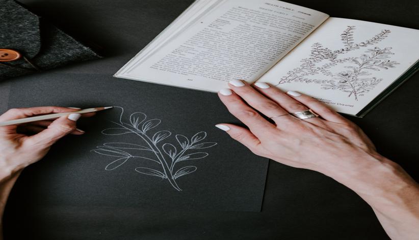 Should I Learn Sketching Before Drawing | Homeschooler Pro