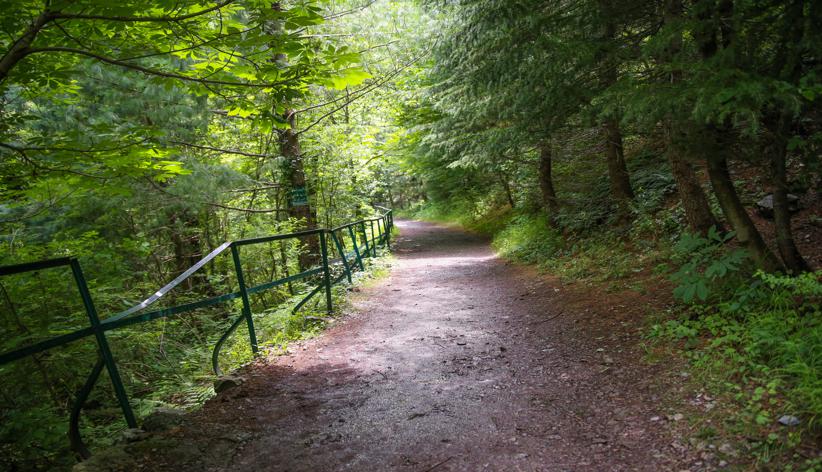 Top Countries In Math | Homeschooler Pro