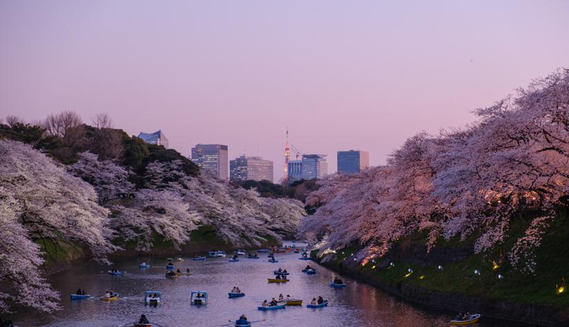 What Is Japan Iq | Homeschooler Pro